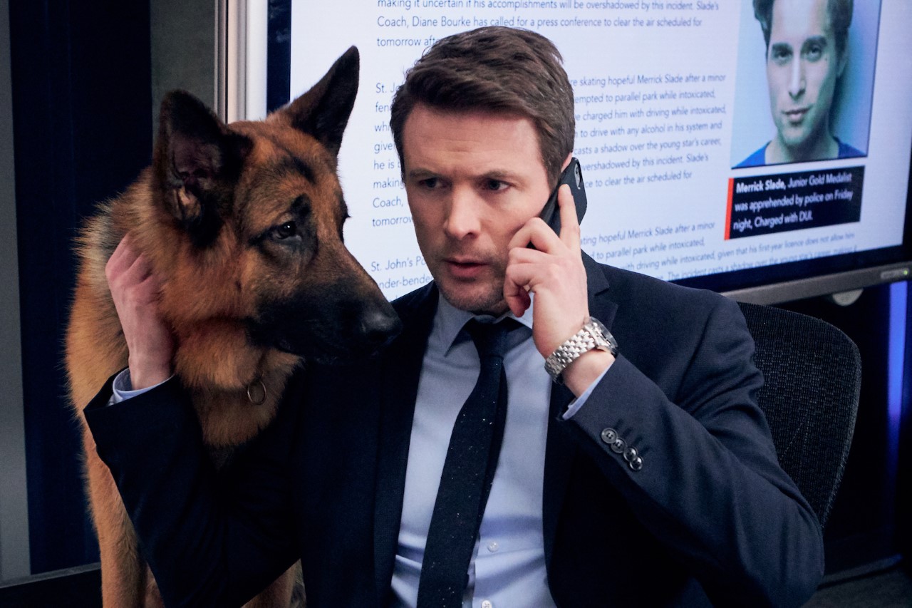 Smash Hit Series HUDSON & REX Season One Out Now on DVD and Download-to ...